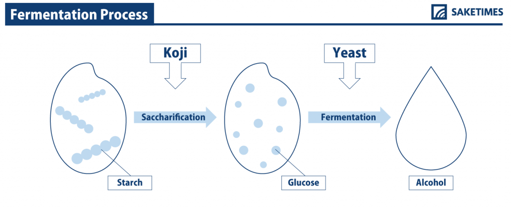 Japanese Sake Infographics - Free to Download! - SAKETIMES - Your Sake ...